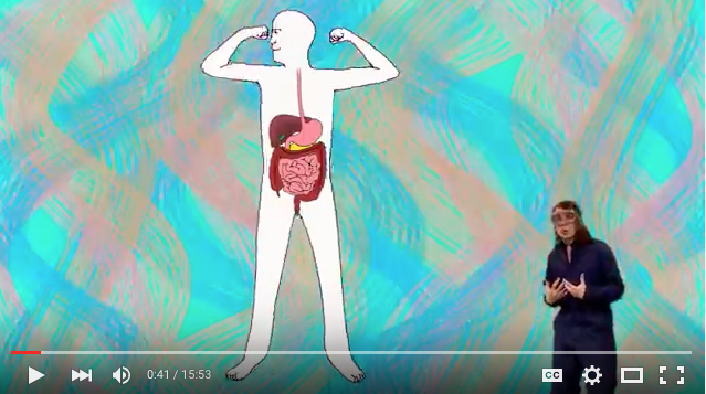 Learn about Gut Health with John Farinelli | OlyKraut